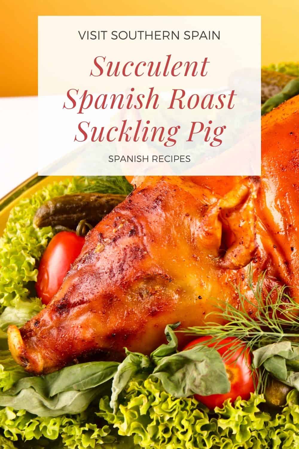 Succulent Spanish Roast Suckling Pig - Visit Southern Spain