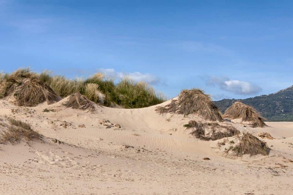 24 Best Beaches in Southern Spain You Must Visit! - Visit Southern Spain