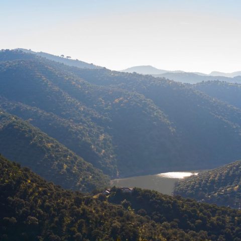 17 Best Hiking Trails Near Seville - Visit Southern Spain