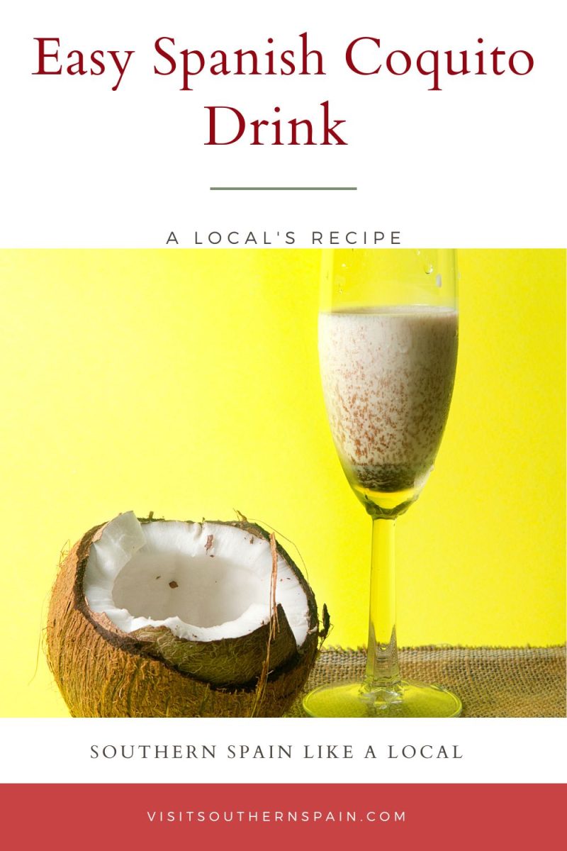 Best Coquito Recipe [Holiday Recipe] - Visit Southern Spain