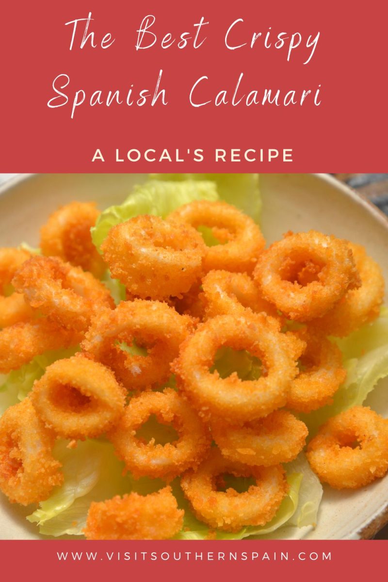 Fried Spanish Calamari Recipe - Visit Southern Spain