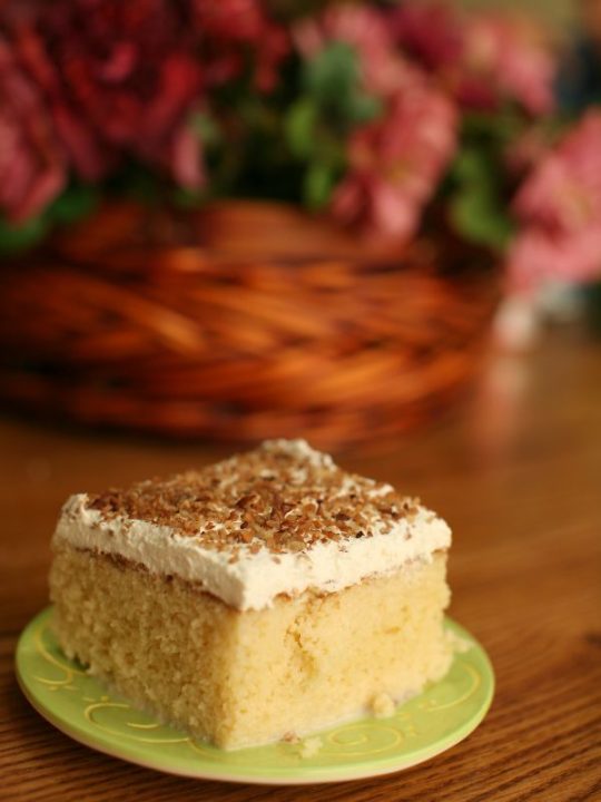 Authentic Spanish Milk Cake Recipe - Visit Southern Spain