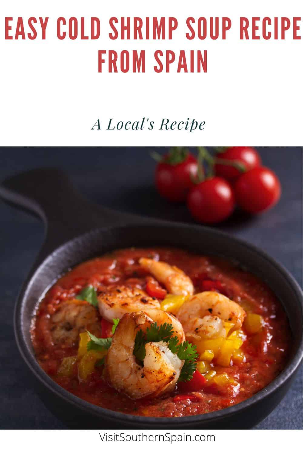 Easy Cold Shrimp Soup Recipe from Spain - Visit Southern Spain