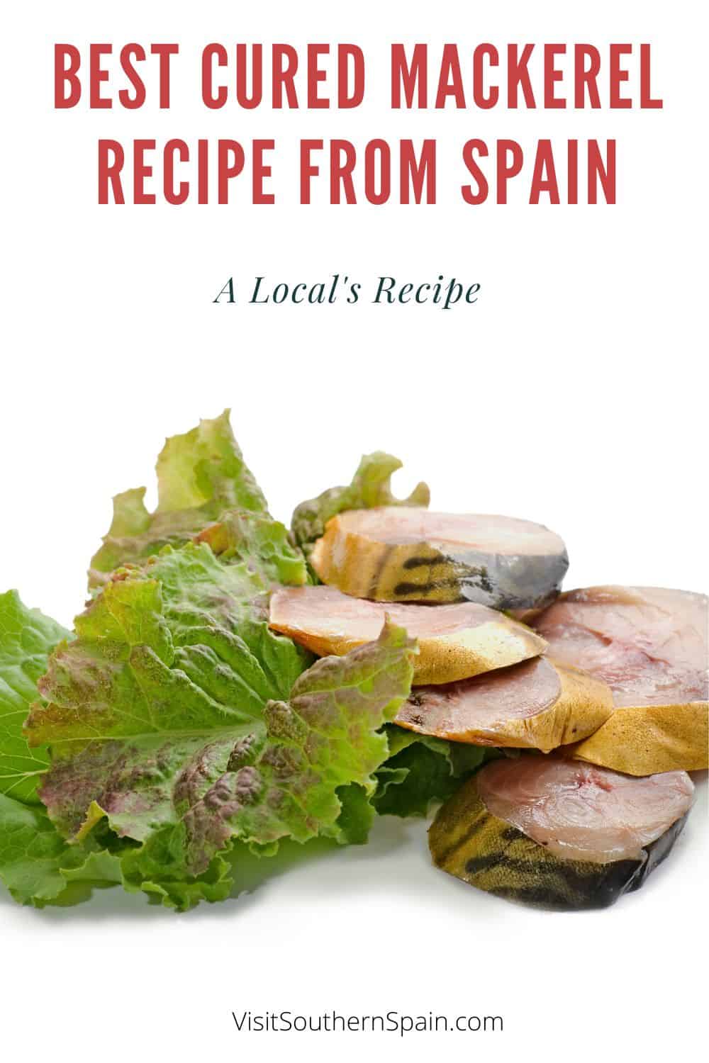 Easy Cured Mackerel Recipe from Spain - Visit Southern Spain