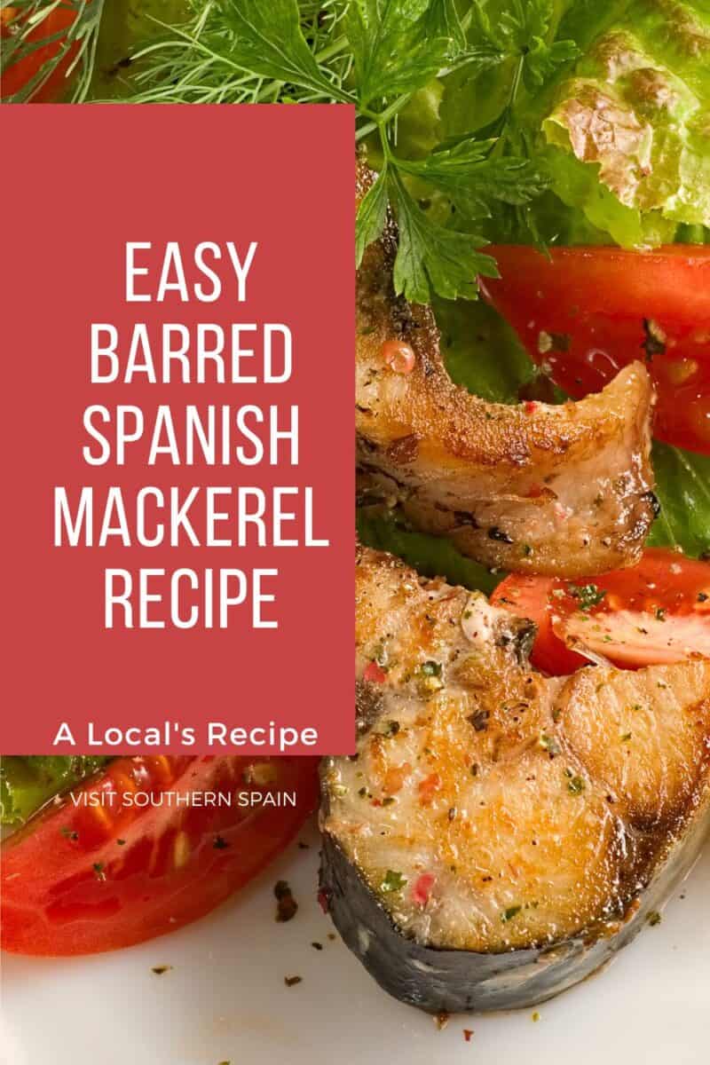 Easy Barred Spanish Mackerel Recipe - Visit Southern Spain
