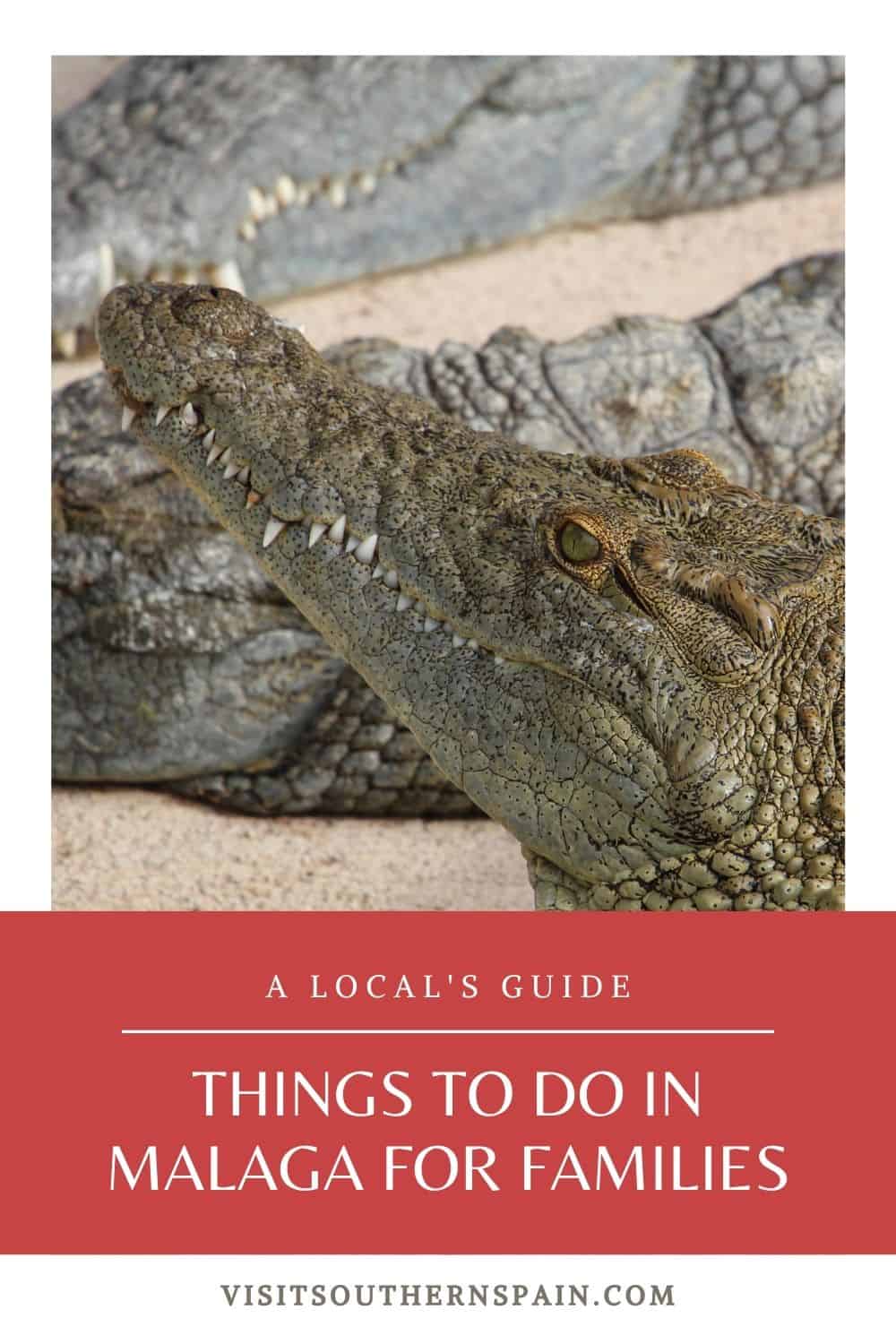 12 Fun Things to Do in Malaga for Families - Visit Southern Spain